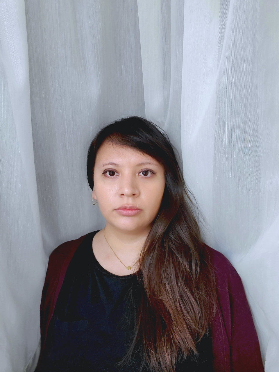 RBC Emerging Artist Residency Program - The Robert McLaughlin Gallery