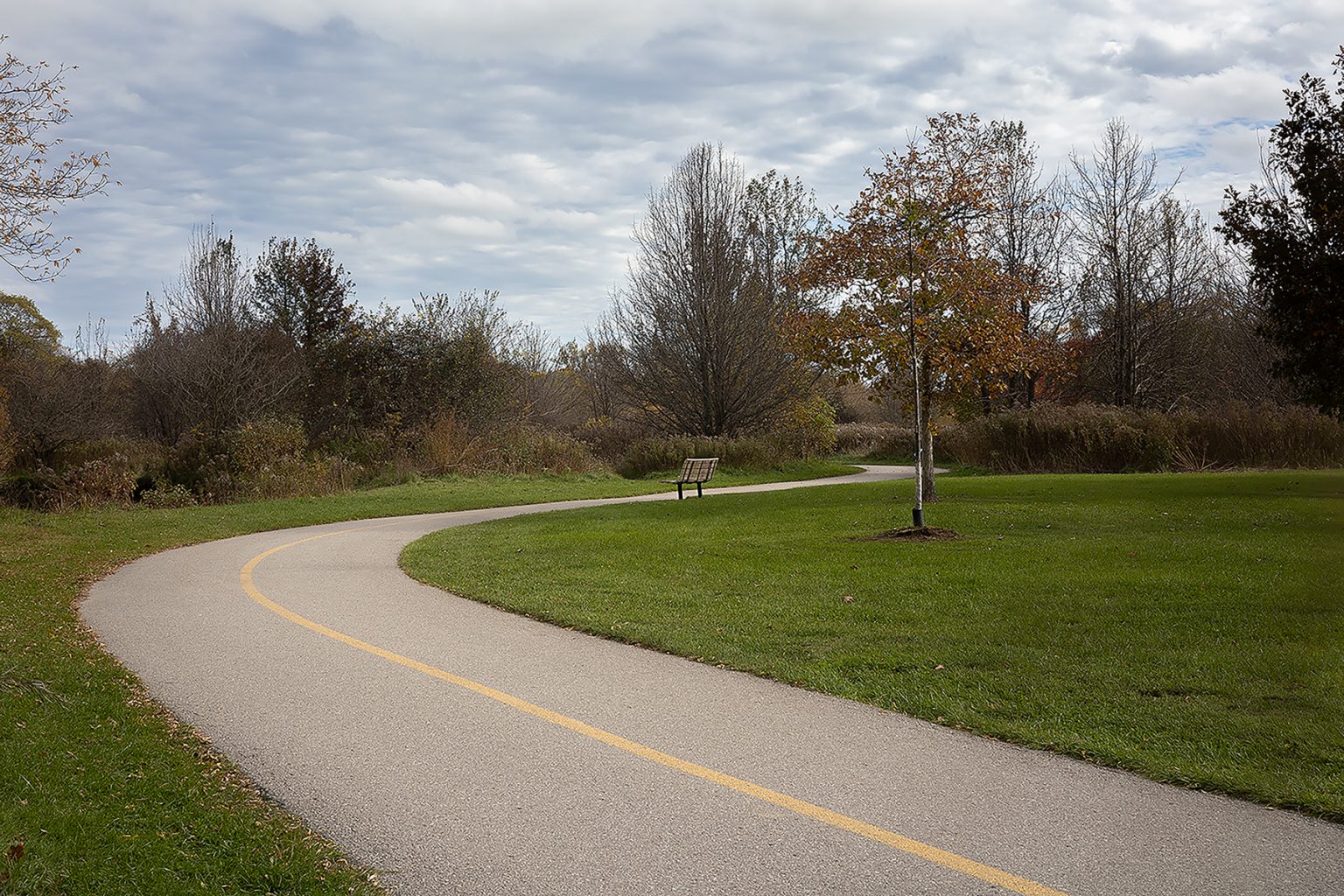 Perspective/Prospective - The Robert McLaughlin Gallery