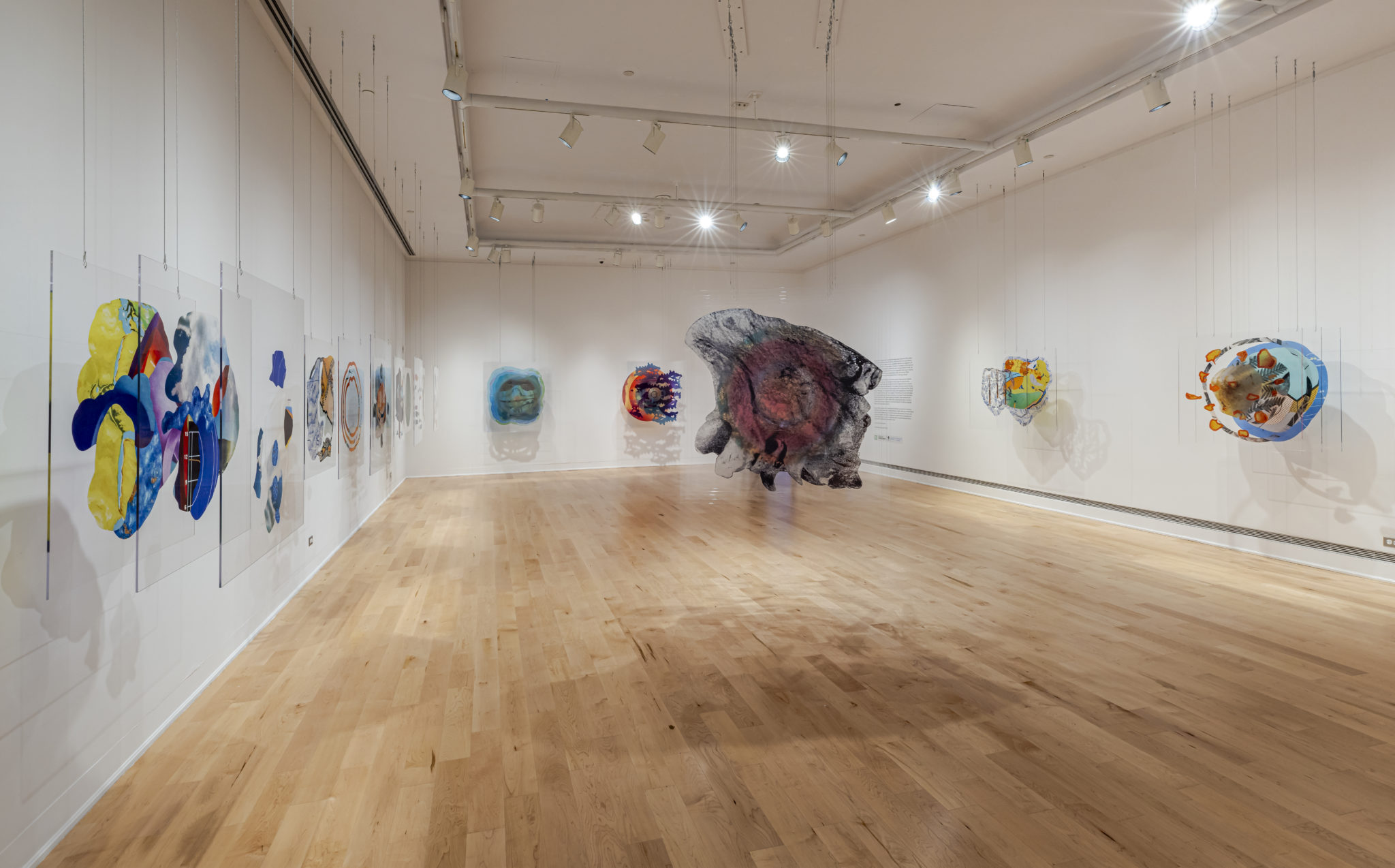 Anna Binta Diallo: Topographies - The Robert McLaughlin Gallery