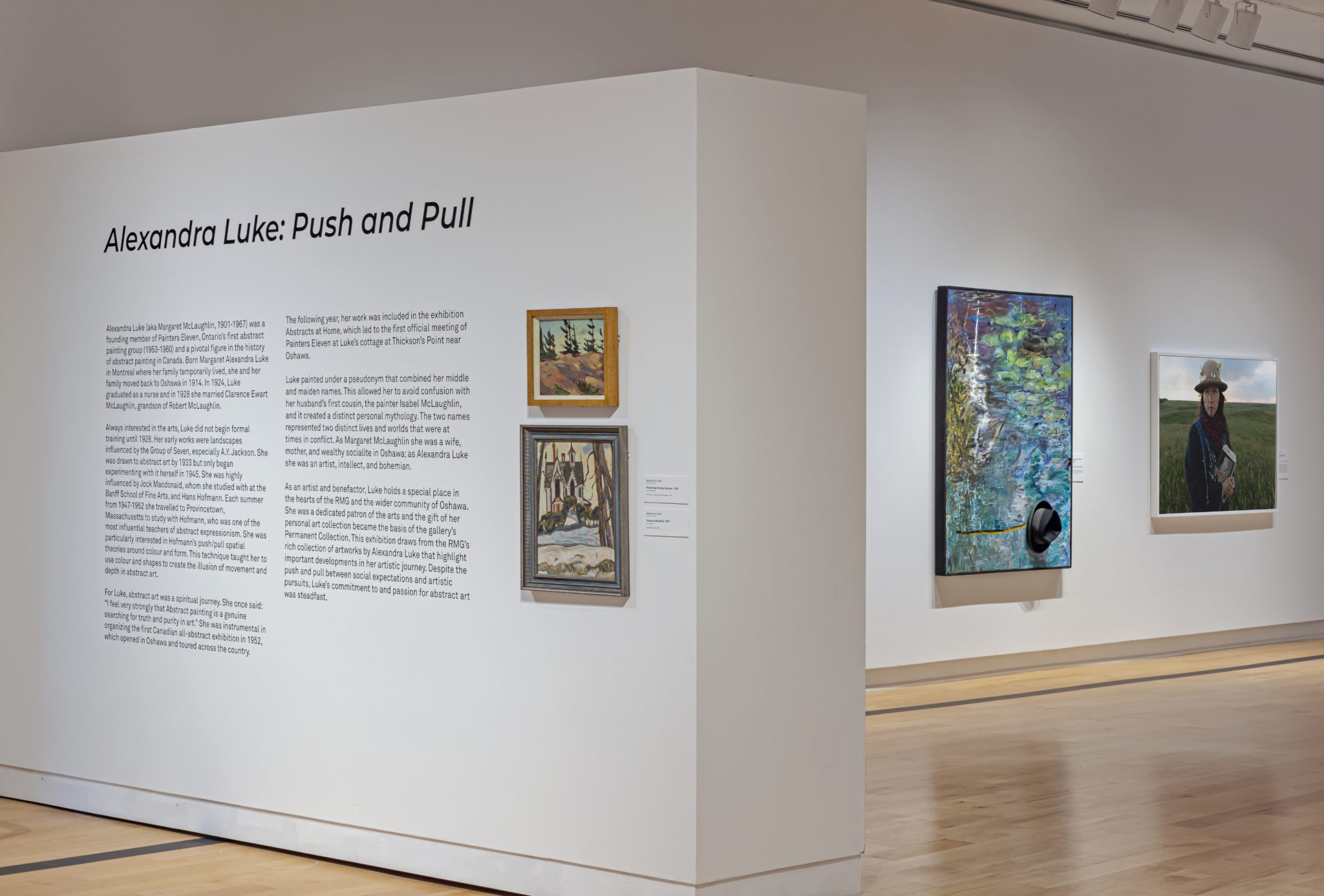 Alexandra Luke: Push and Pull - The Robert McLaughlin Gallery