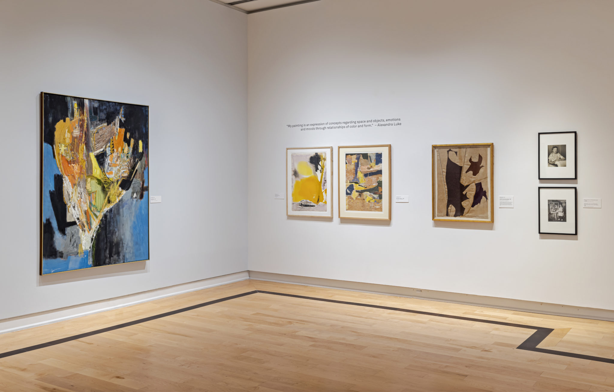 Alexandra Luke: Push and Pull - The Robert McLaughlin Gallery